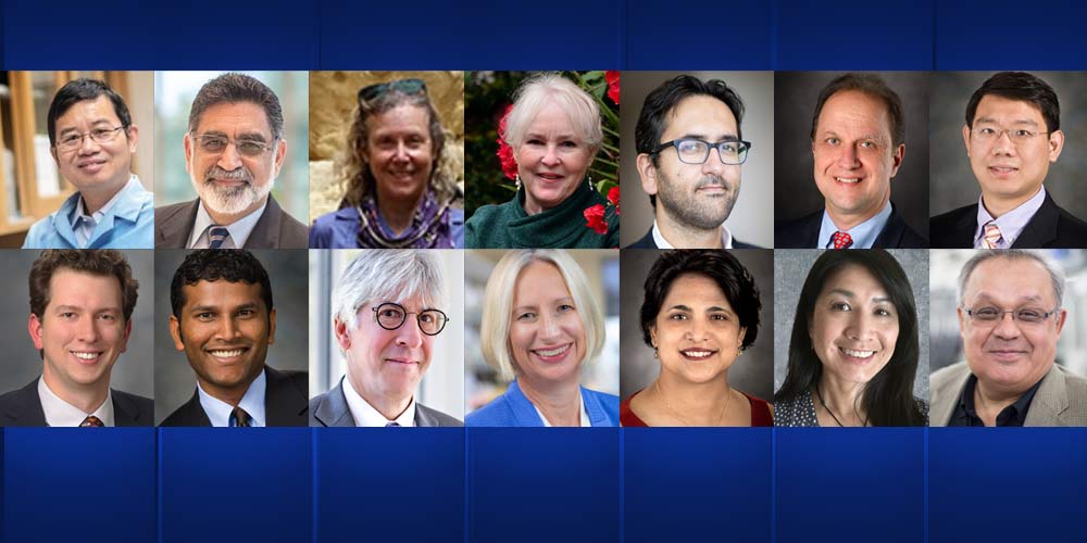 Faculty at five UT institutions recognized among nation’s top ...
