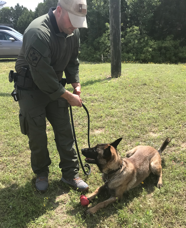 Meet Riggs: The newest member of the UT Austin PD Canine Corps | The ...